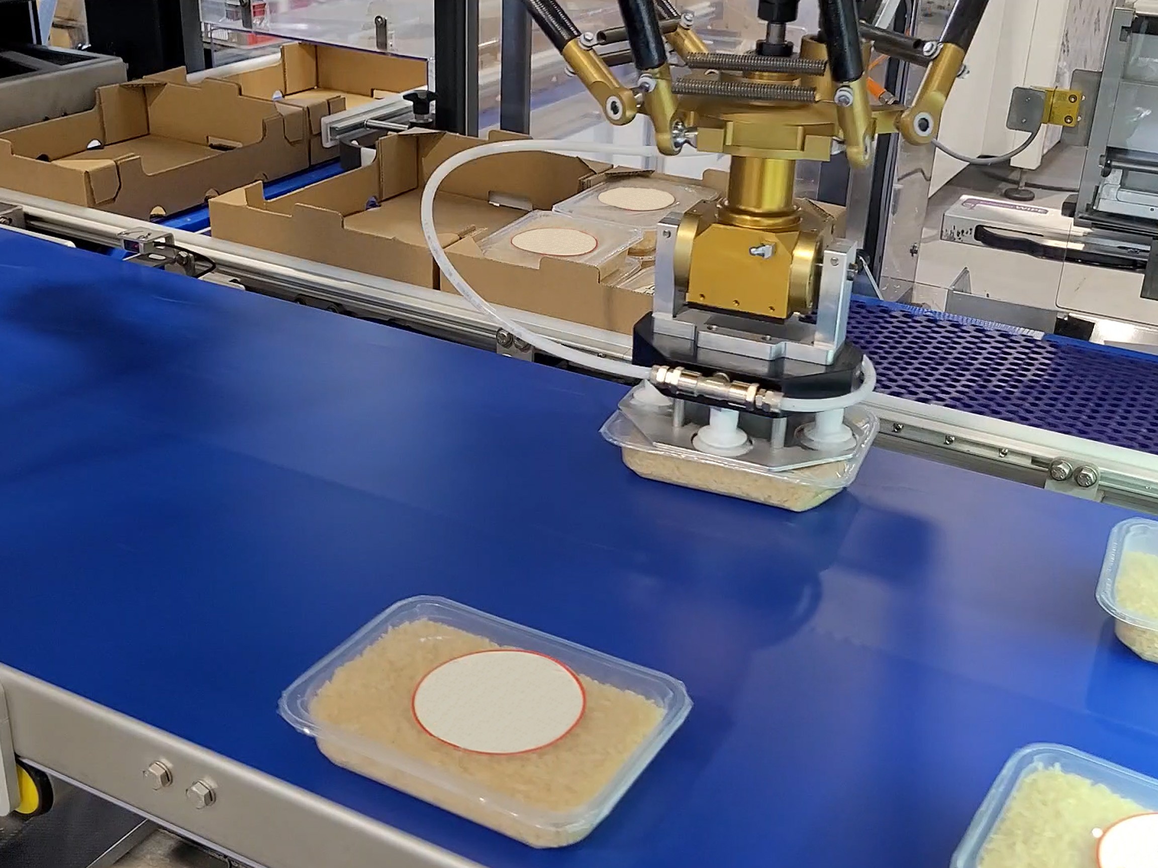 Top load case packer | MG Tech